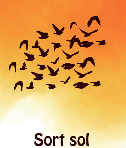 Sort sol | A3 - Marskshoppen